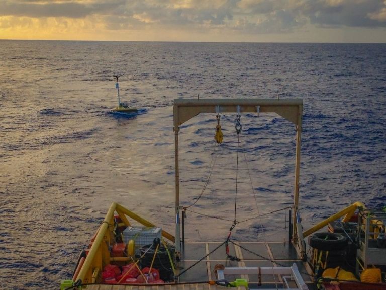 Metocean consultancy services - Seaplace